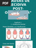 BS-LS-0161-es - Blue Sky Bio Plan User Manual - Attachment Rev 0 | PDF | Ct Scan | Ventana ...