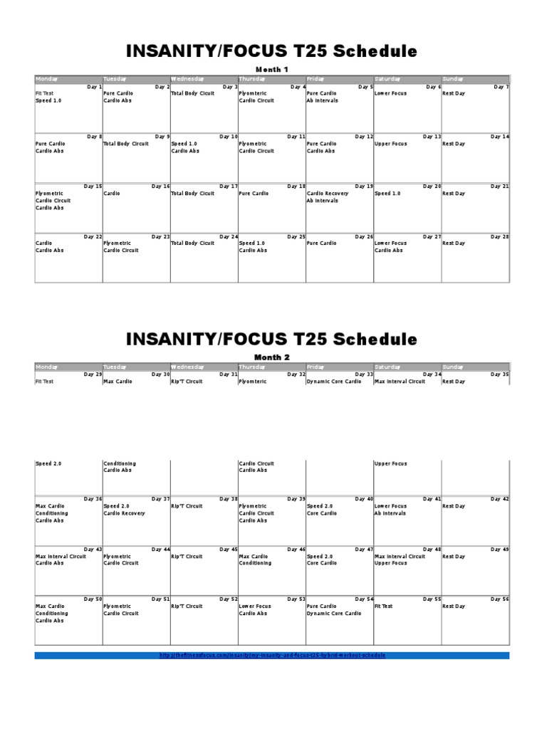 Insanity Focus t25 Calendar | PDF | Wellness
