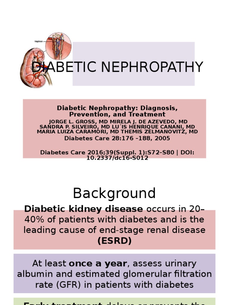 Diabetic Nephropathy | Chronic Kidney Disease | Renal Function