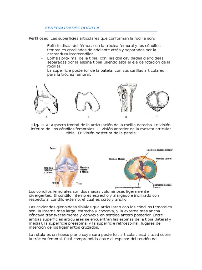 -MENISCOPATIA | Rodilla | Articulaciones