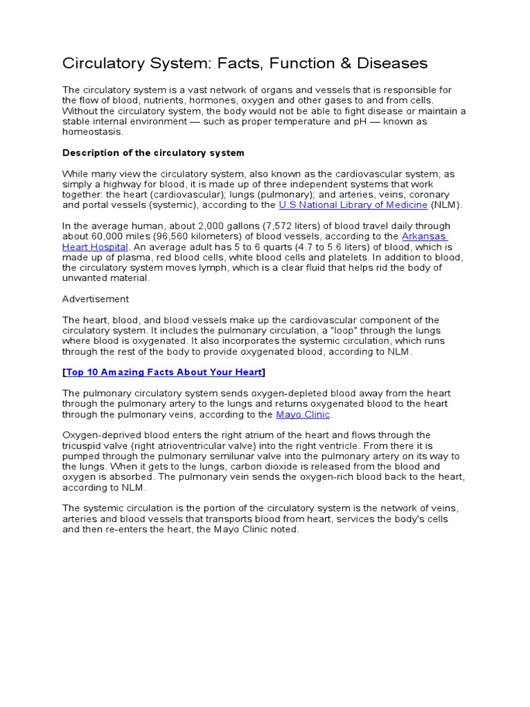 Circulatory System Assignment | Download Free PDF | Circulatory System ...