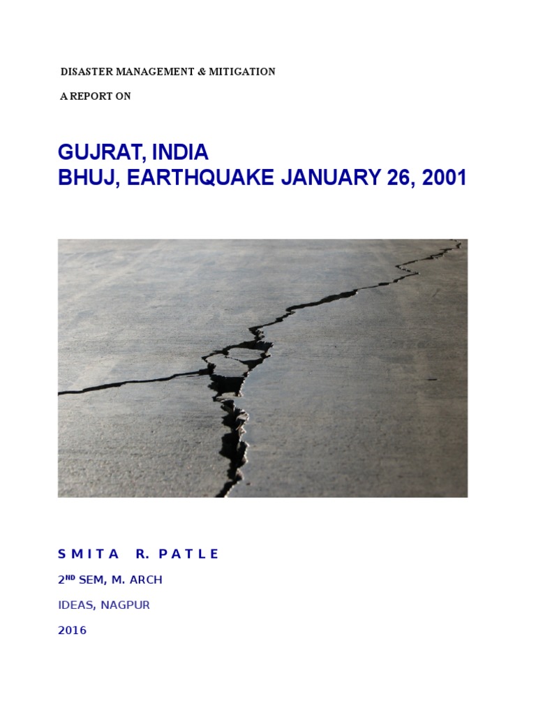 01 Disaster Management Report Final | PDF