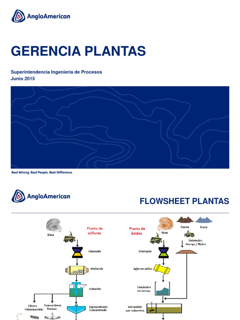 Diagrama Plantas | PDF | Materiales | Naturaleza