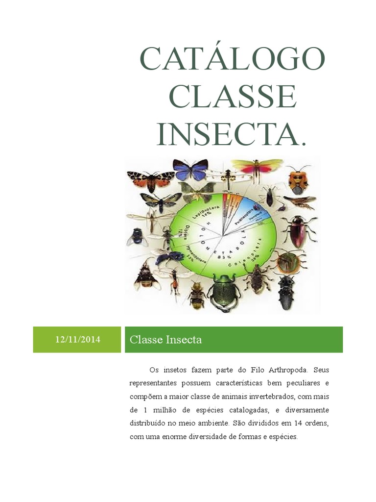 Catálogo Classe INSECTA | PDF | Insetos | Besouro