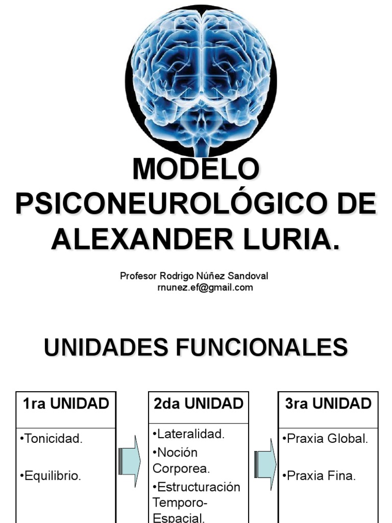 Modelo Neurológico de Alexander Luria | Percepción | Hora