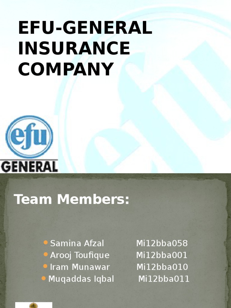 EFU General Insurance | PDF | Vehicle Insurance | Insurance