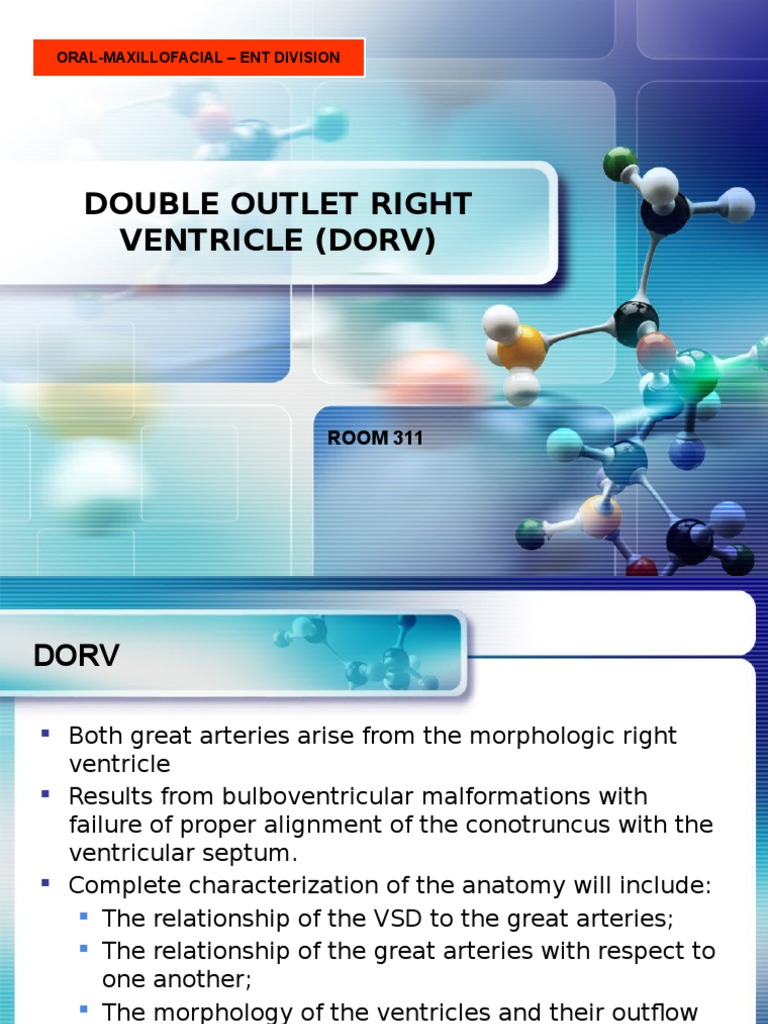 Understanding Double Outlet Right Ventricle | PDF