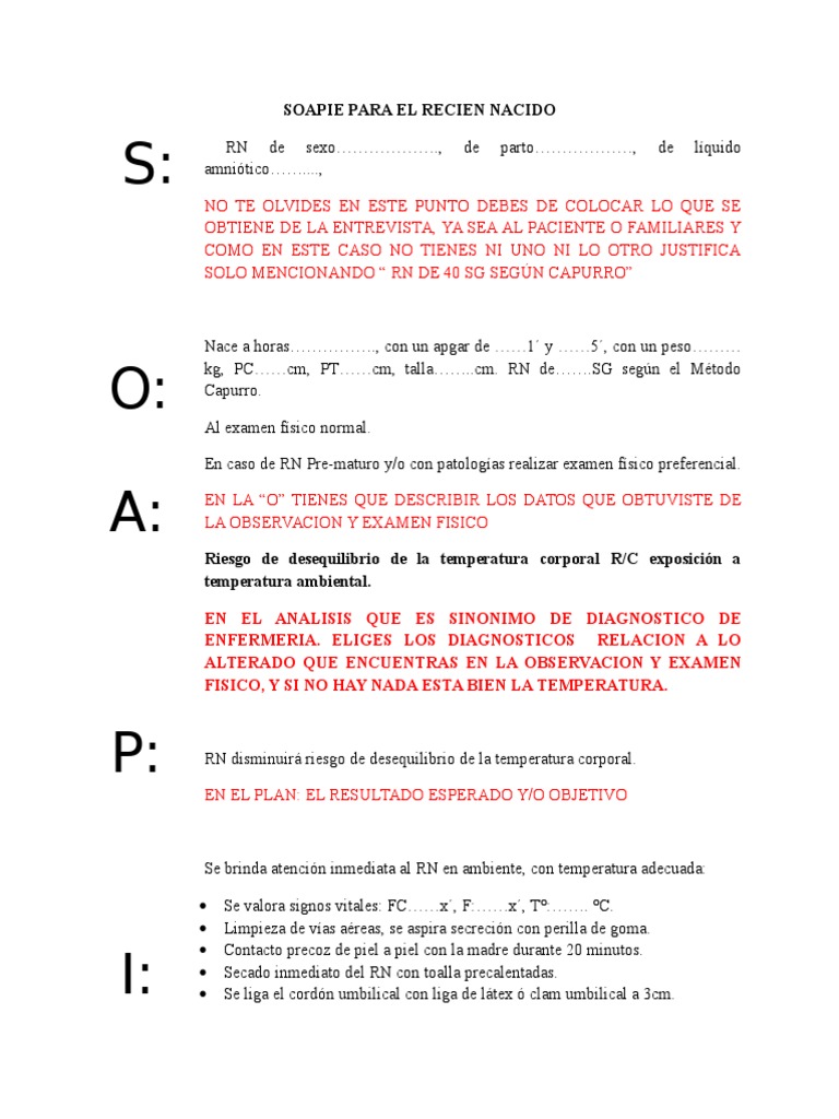 Soapie para El Recien Nacido | PDF