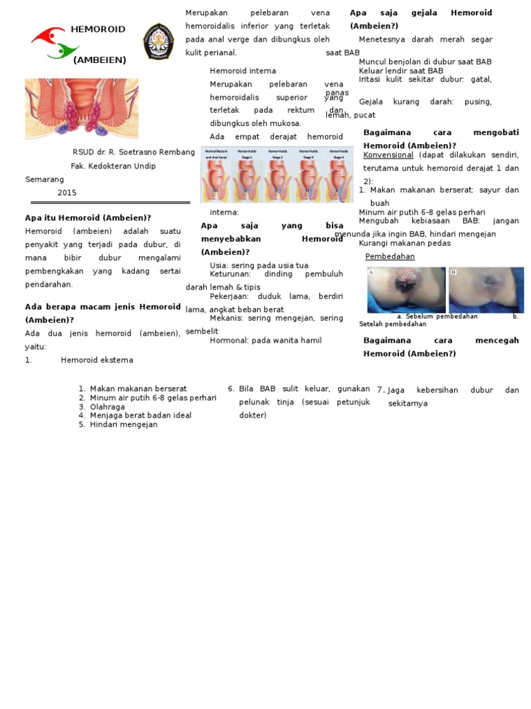Leaflet Hemoroid | PDF
