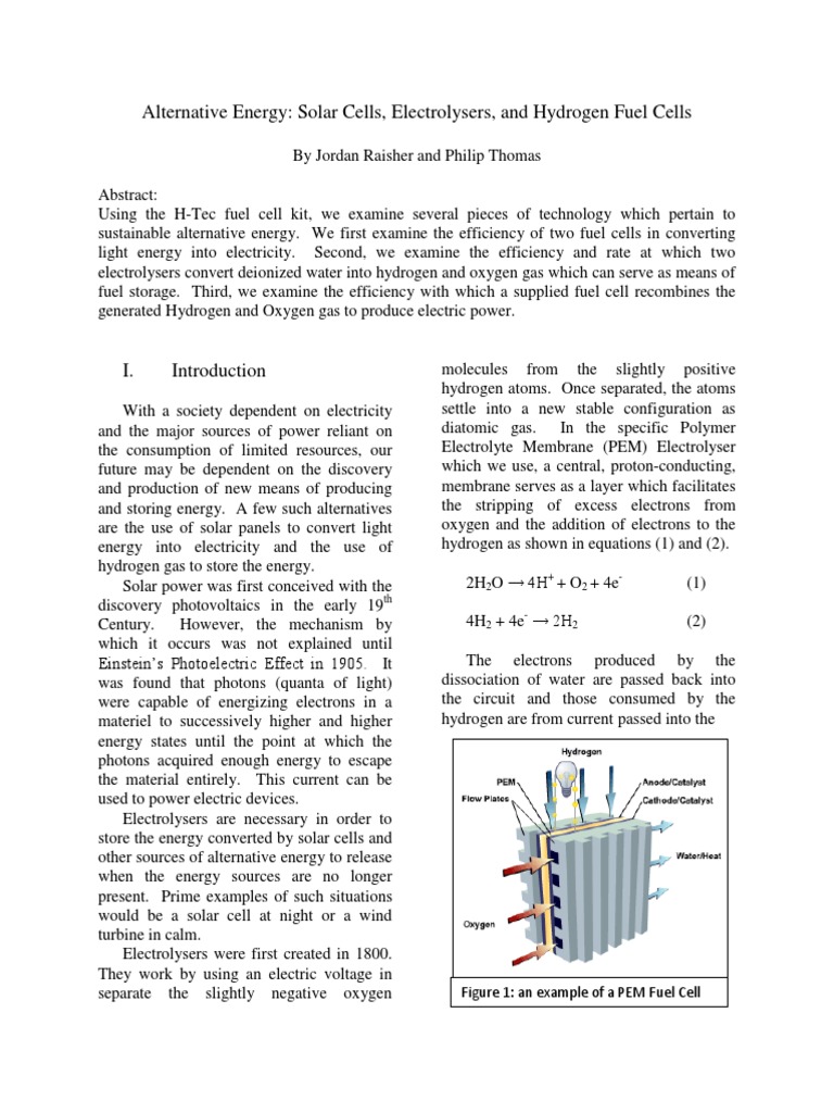 Fuel Cell Paper | PDF | Proton Exchange Membrane Fuel Cell | Fuel Cell