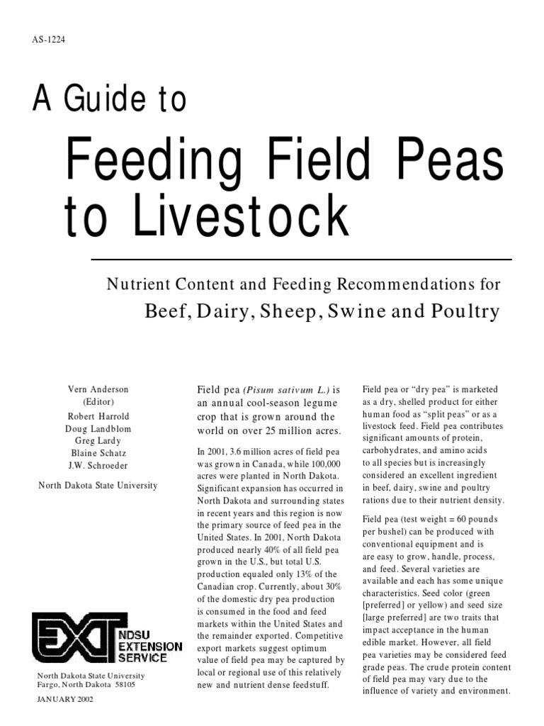 A Guide To Feeding Field Peas To Livestock | PDF | Cattle | Cereals