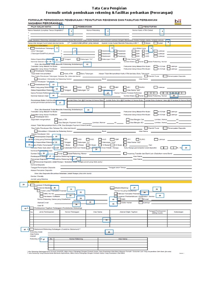 Contoh Pengisian Formulir Pembukaan – Beinyu.com