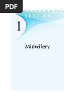 ICM - 2019 Essential Competencies For Midwifery Practice | PDF ...