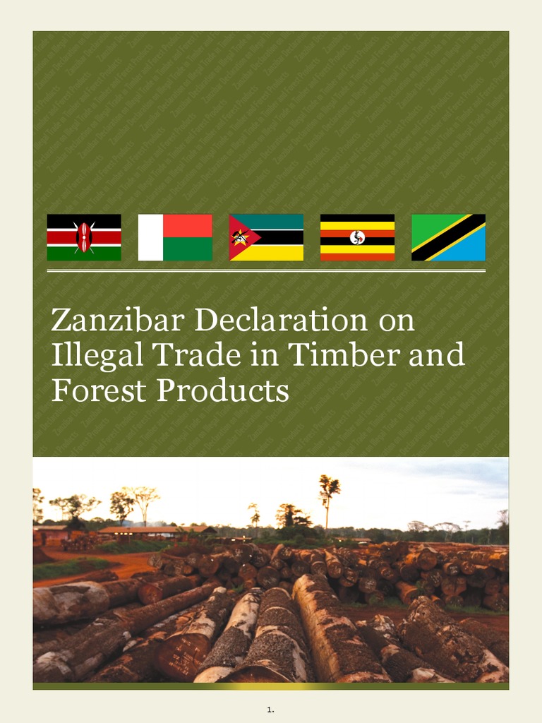 15 Zanzibar-Declaration PDF | PDF | Tanzania | United Nations General ...