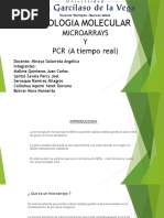 Microarreglos en Biología Molecular | PDF | Adn Microarray | Cáncer