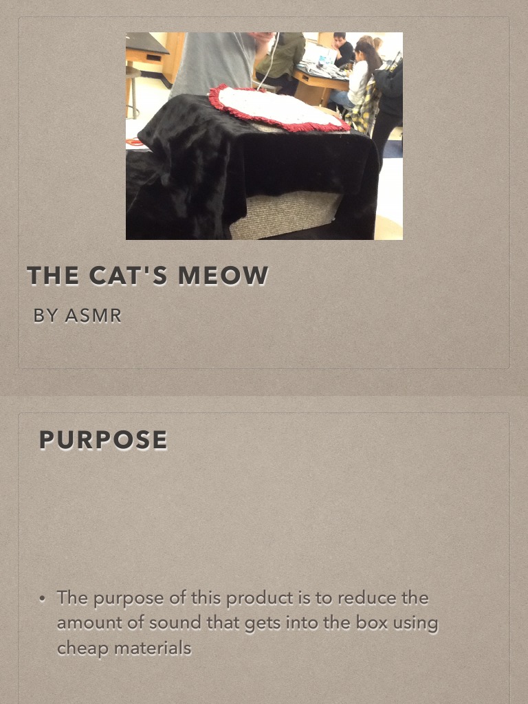 Sound-Reducing Cat Box Design Guide | PDF | Home & Garden