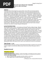 Grade 3 Pollution Project Guide | PDF