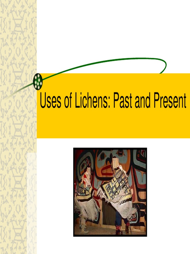 Uses of Lichens | PDF | Dermatitis | Foods