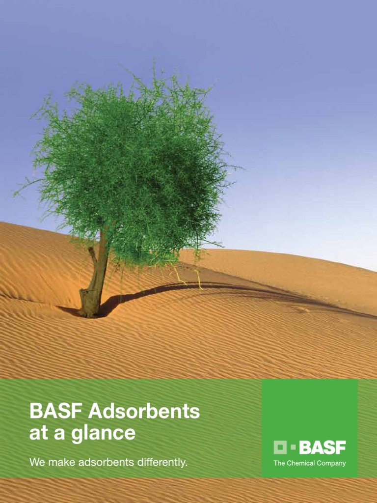 Brand+ProSorb Brochure Adsorbents+Overview+Brochure English PDF | PDF ...