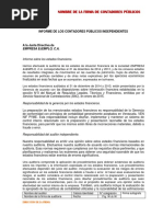 Guía NIEA 3000: Aseguramiento Contable | PDF | Contador | Auditoría