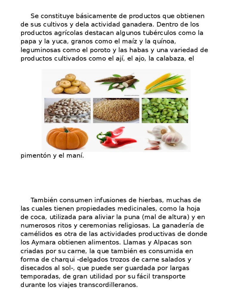 Aymaras y Sus Comidas | PDF