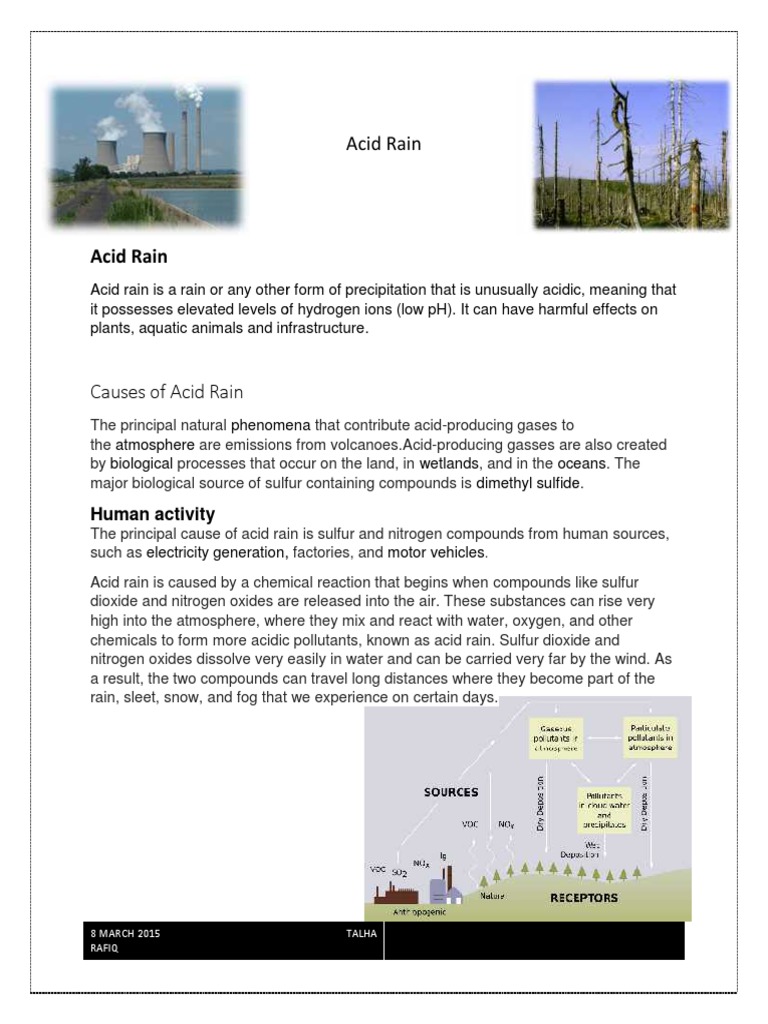 The Causes, Effects, and Chemistry of Acid Rain: An In-Depth Look at ...