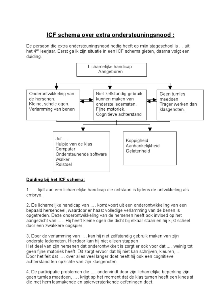 ICF Schema | PDF