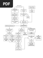 Anatomi Dan Fisiologi Lidah | PDF