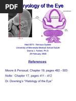 Cow Eye Dissection Lab Report | PDF | Eye | Human Eye