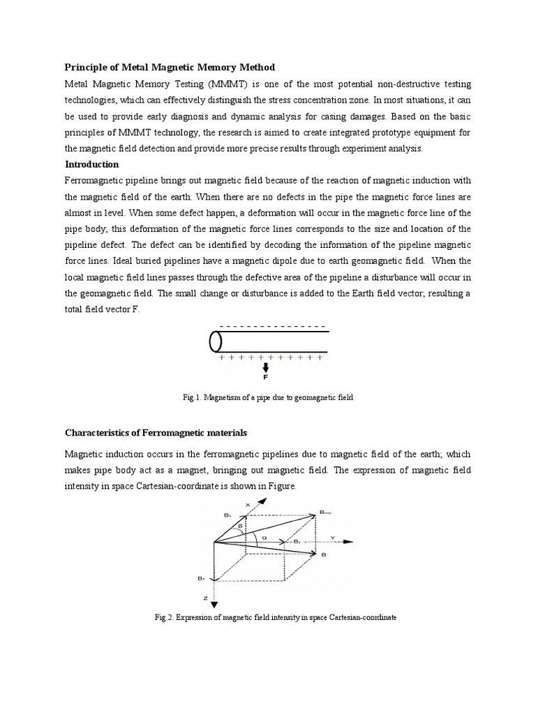 Principle of Metal Magnetic Memory Method | PDF | Ferromagnetism ...