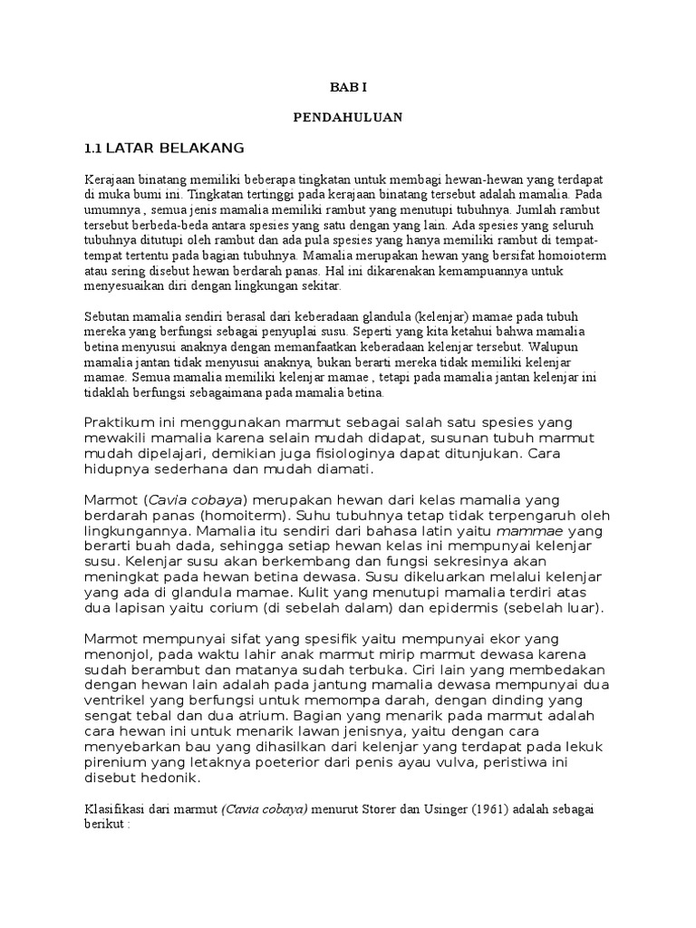 Memahami Struktur Dasar Tubuh Marmut (Cavia Cobaya) | PDF | Kajian ...