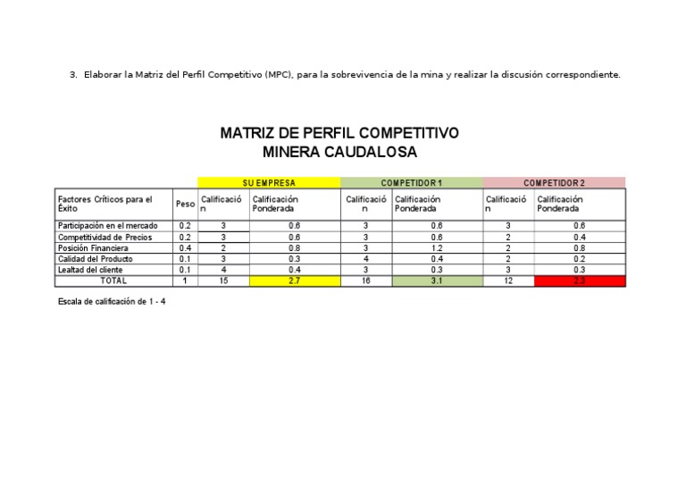 Elaborar La Matriz Del Perfil Competitivo