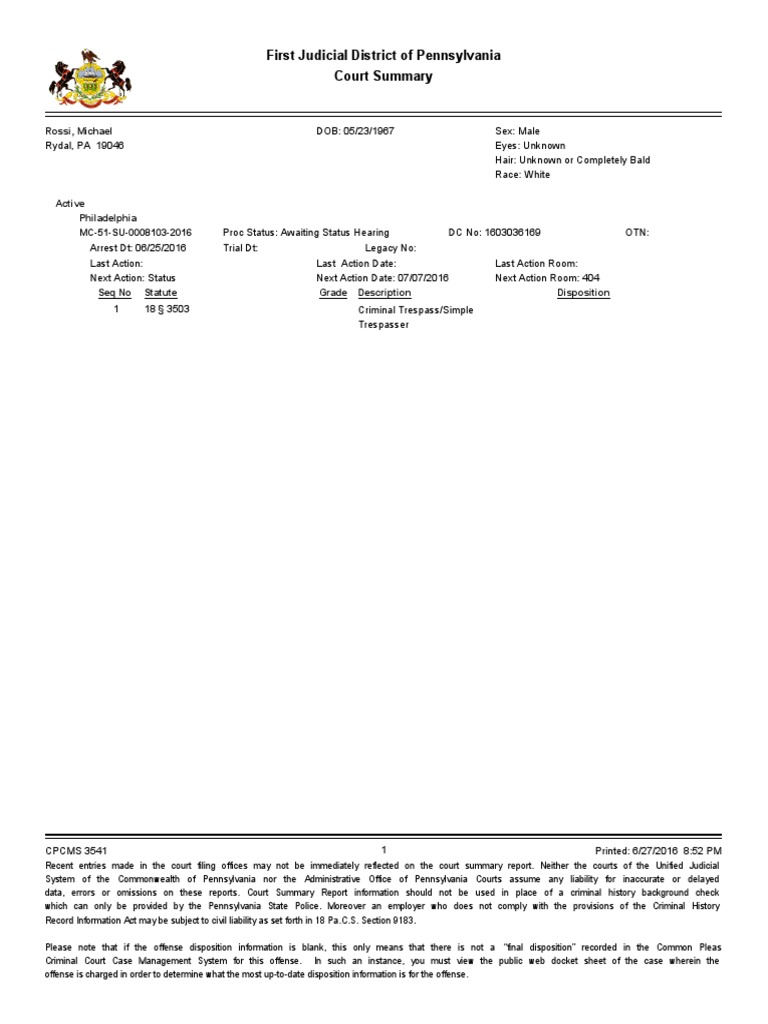 Michael Rossi Court Summary - Criminal Case | PDF | Law