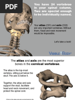 Appendix 5 Ulna Length Chart Updated | PDF | Joints | Primate Anatomy