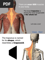 There Are in Your Body.: Over 600 Muscles | PDF | Limbs (Anatomy ...