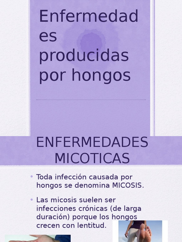 Enfermedades Por Hongos | Infección | Salud pública