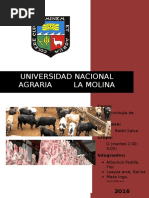 Visita Al Rastro | PDF | Carne | Matadero