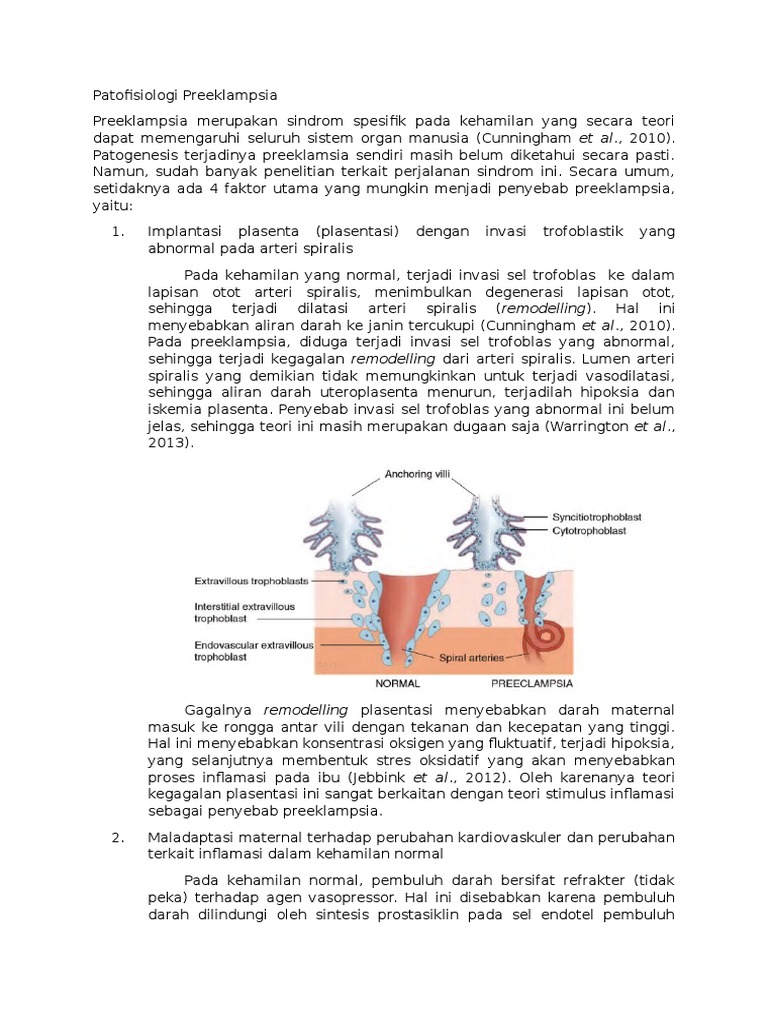 Patofisiologi Preeklampsia | PDF