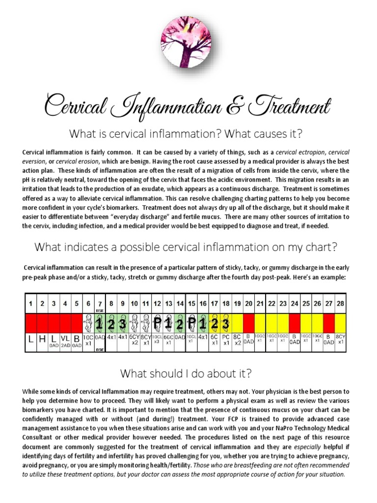 Cervical Inflammation Client Handout Final | PDF | Inflammation | Medicine