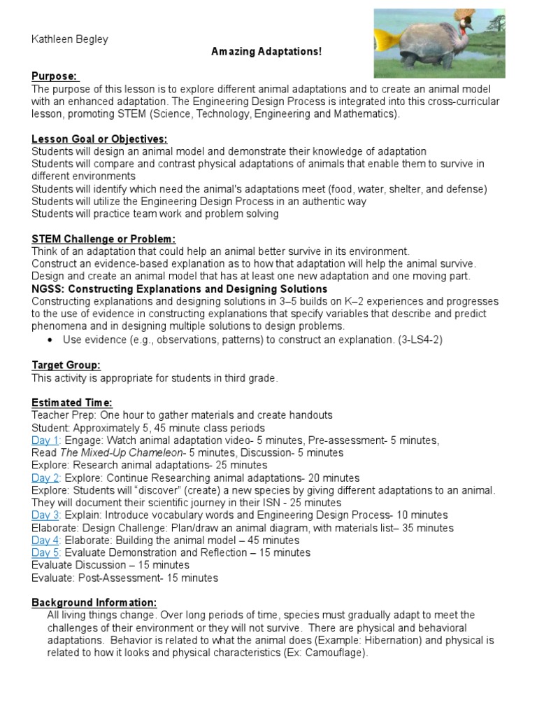 Build An Animal | PDF | Adaptation | Engineering Design Process