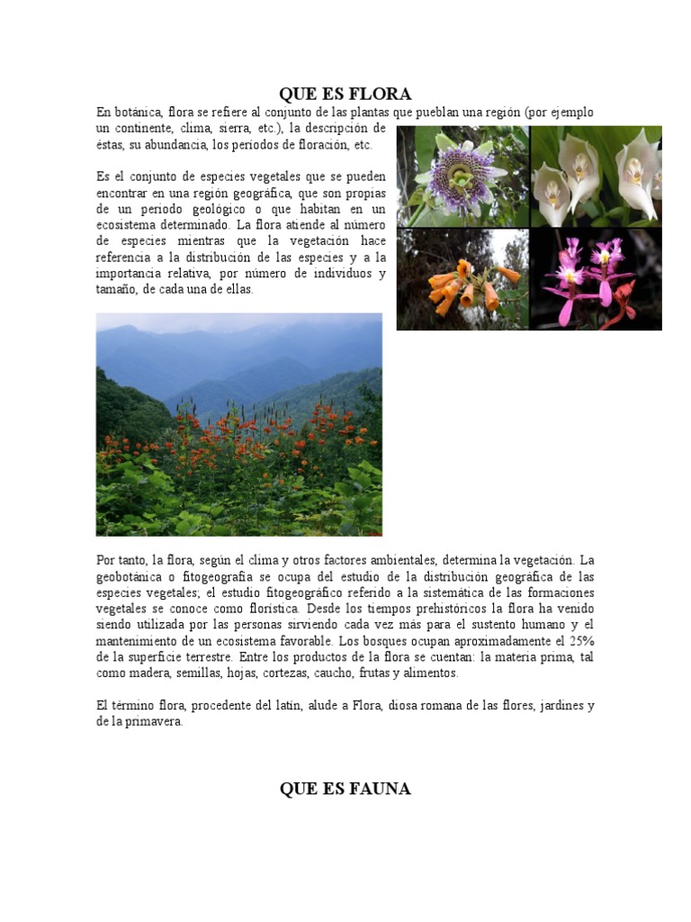 Que Es Flora | PDF