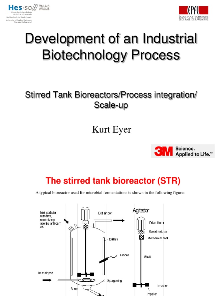 Scale Up | PDF | Stainless Steel | Chemical Reactor