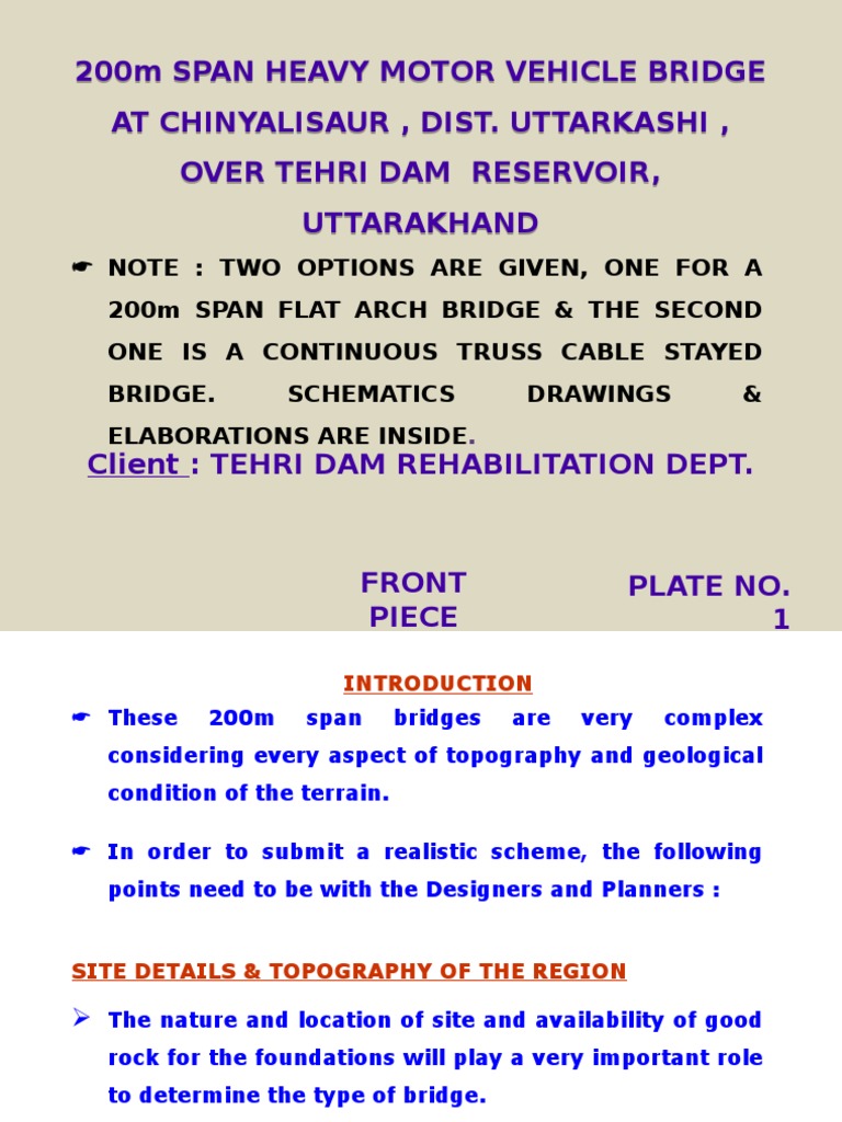 Chinyalisaur Bridge Design Options | PDF | Structural Steel | Bridge