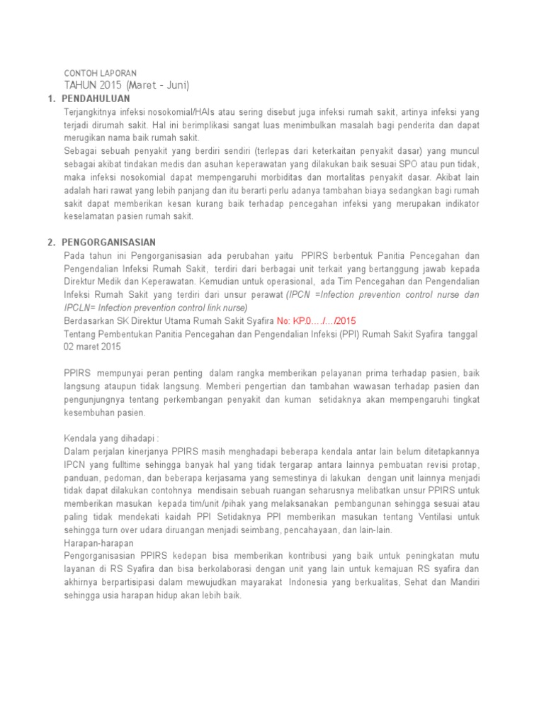 CONTOH Format Laporan PPI | PDF