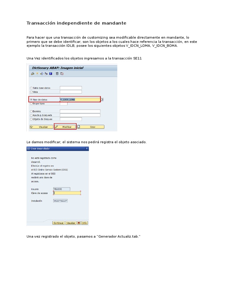 Transacción IDLB Independiente de Mandante | PDF