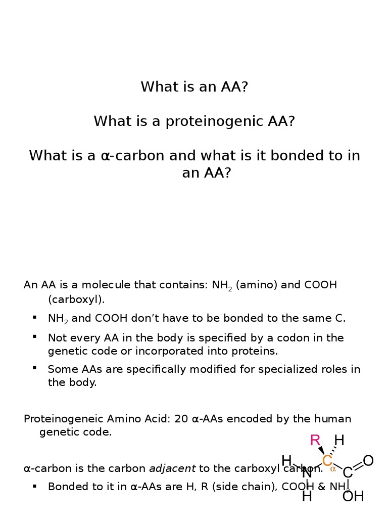 What is an AA? What is a proteinogenic AA? What is a α-carbon and what ...