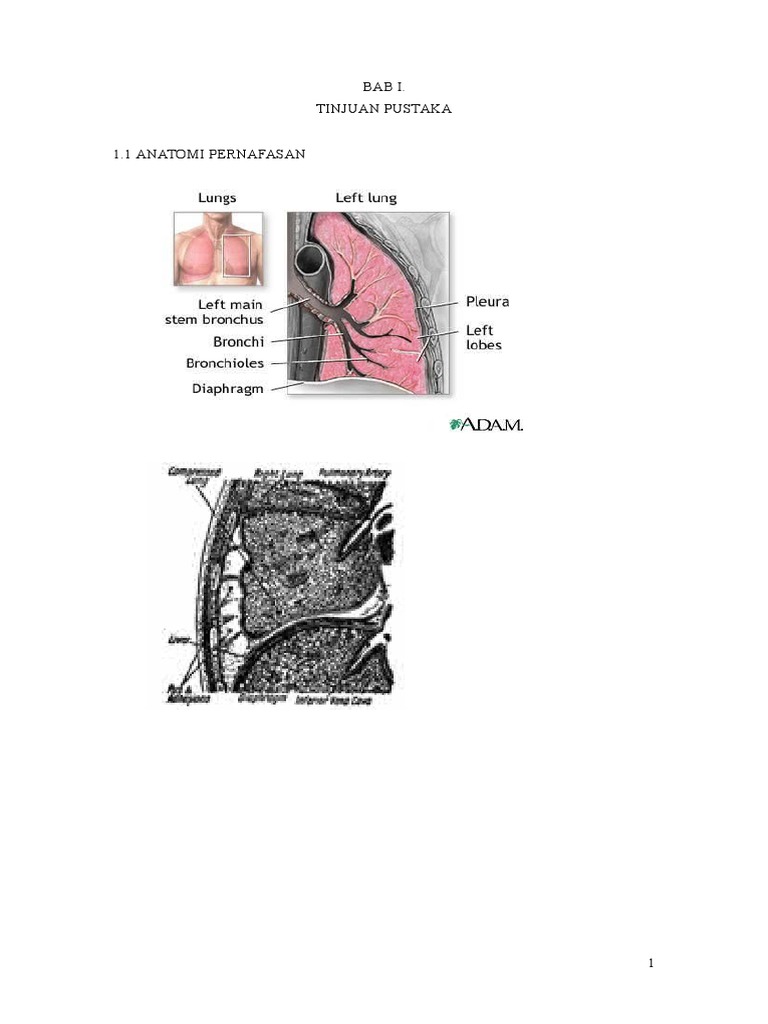 New Makalah WSD | PDF