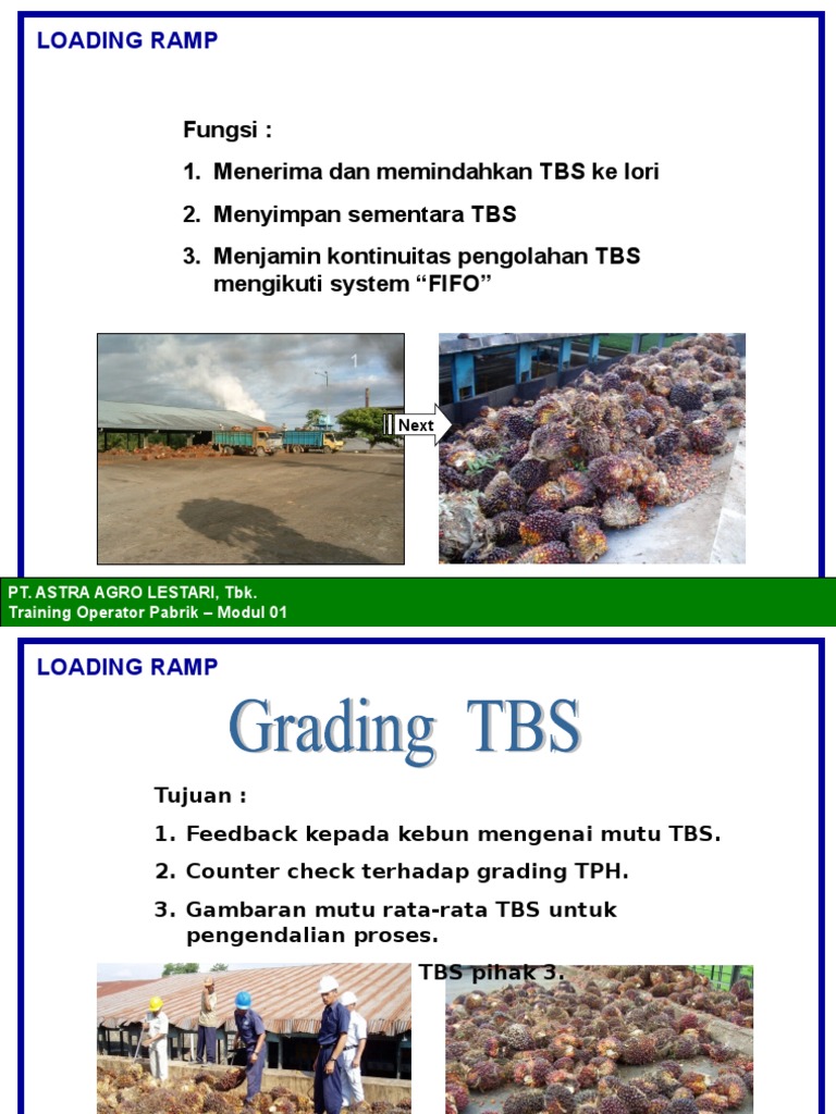 Pelatihan Grading TBS Pabrik | PDF