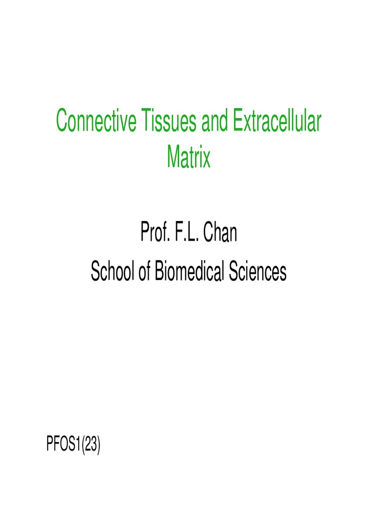 Connective Tissues and Extracellular Matrix 2014-9 | PDF | Connective Tissue | Tissue (Biology)