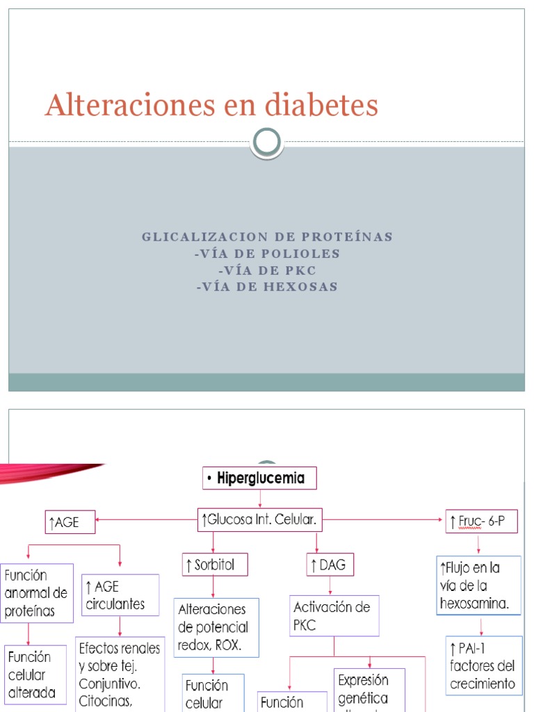 Via de los polioles | Diabetes mellitus | Biología Molecular